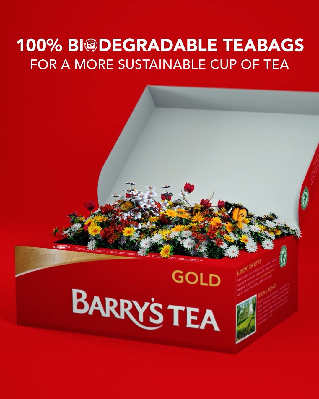 Barrys Tea Gold Blend Tea bags - 80 Count