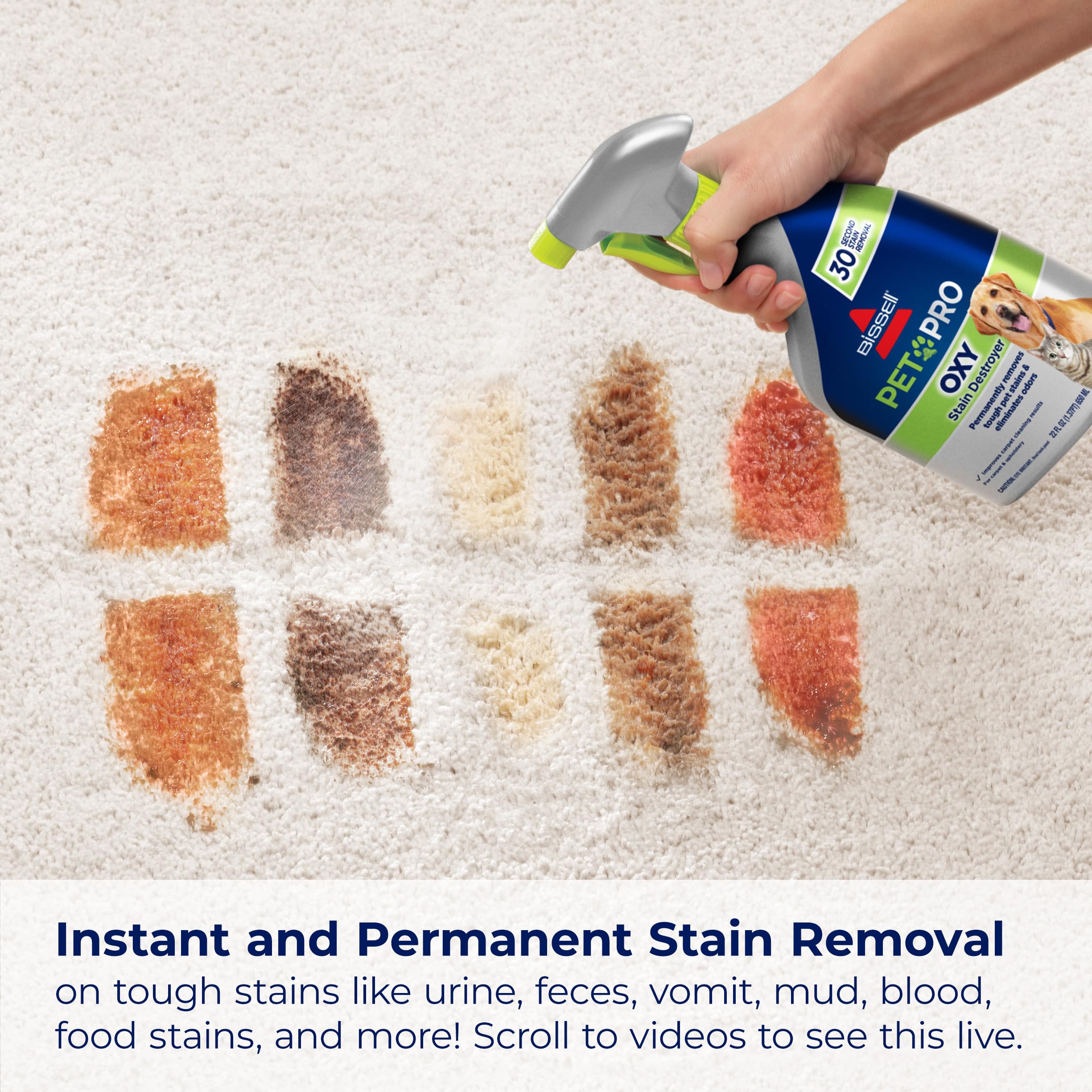 Bissell PET PRO OXY Stain Destroyer for Carpet and Upholstery, 22 oz, 2 Pack, 17739, 44 Fl Oz