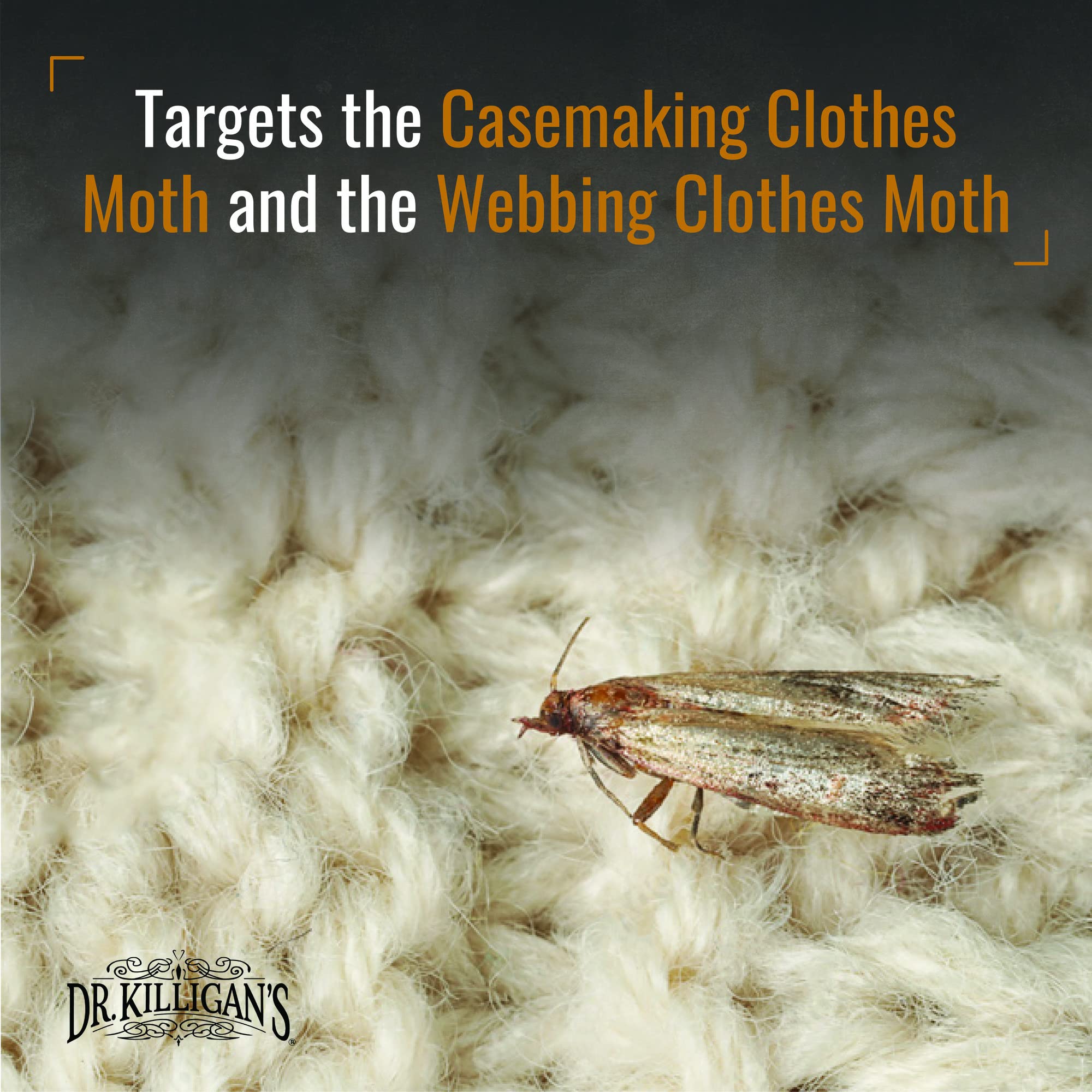 Dr. Killigan's Premium Clothing Moth Traps with Pheromones Prime | 6-Pack Non-Toxic Clothes Moth Trap with Lure for Closets & Carpet | Moth Treatment & Prevention | Case Making & Web Spinning (Black)