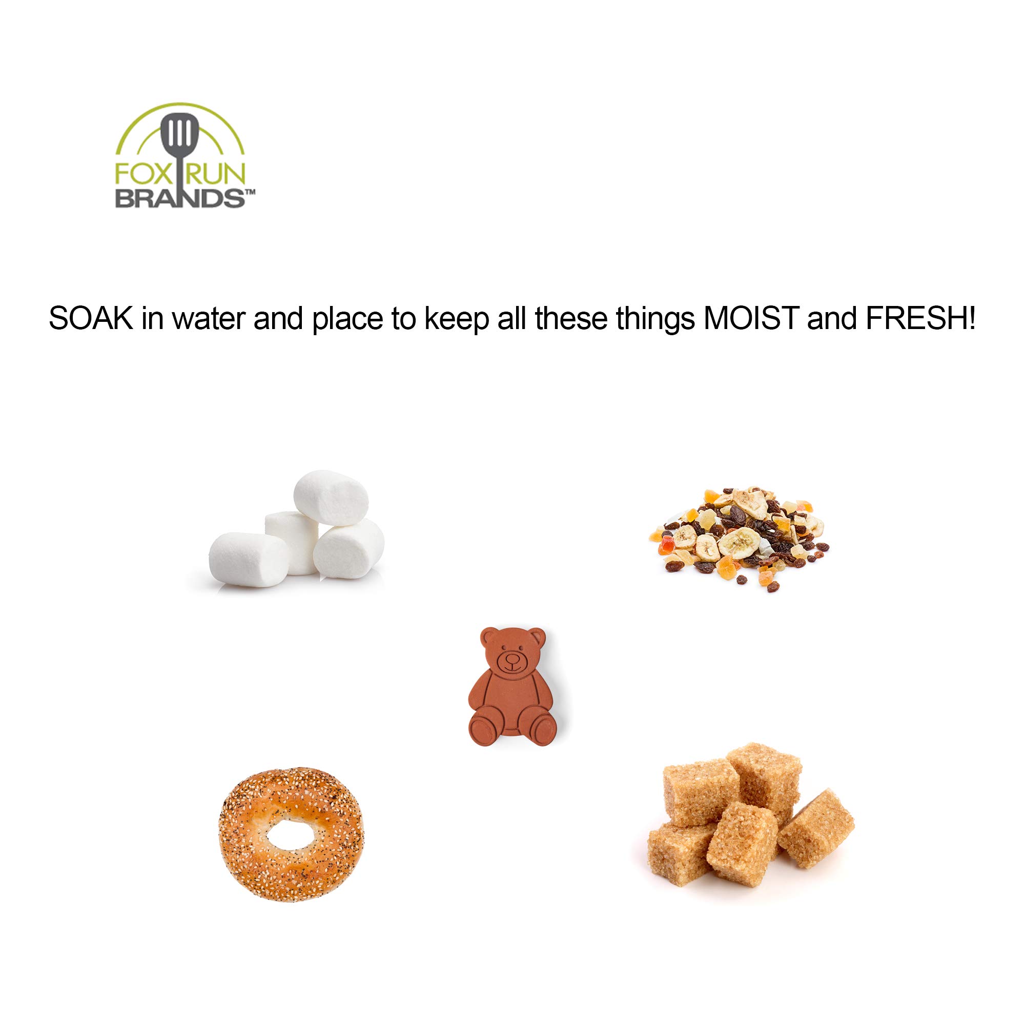 Fox Run Terracotta Brown Sugar Bear Keeper and Saver, 1 pack