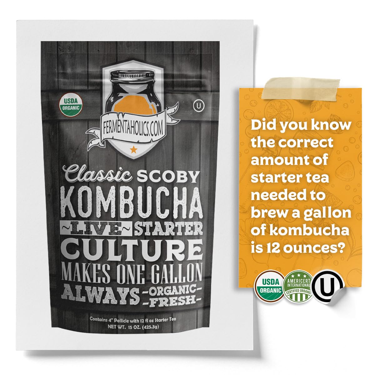 Fermentaholics ORGANIC Kombucha SCOBY With Twelve Ounces of Starter Tea - Live Starter Culture - Makes A One Gallon Batch - 1.5 Cups of Strong Mature Starter Tea - Brew Your Own Kombucha