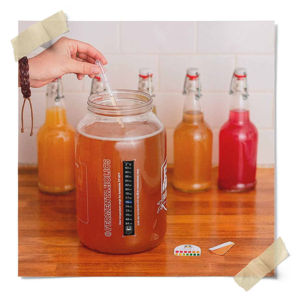 Fermentaholics ORGANIC Kombucha SCOBY With Twelve Ounces of Starter Tea - Live Starter Culture - Makes A One Gallon Batch - 1.5 Cups of Strong Mature Starter Tea - Brew Your Own Kombucha