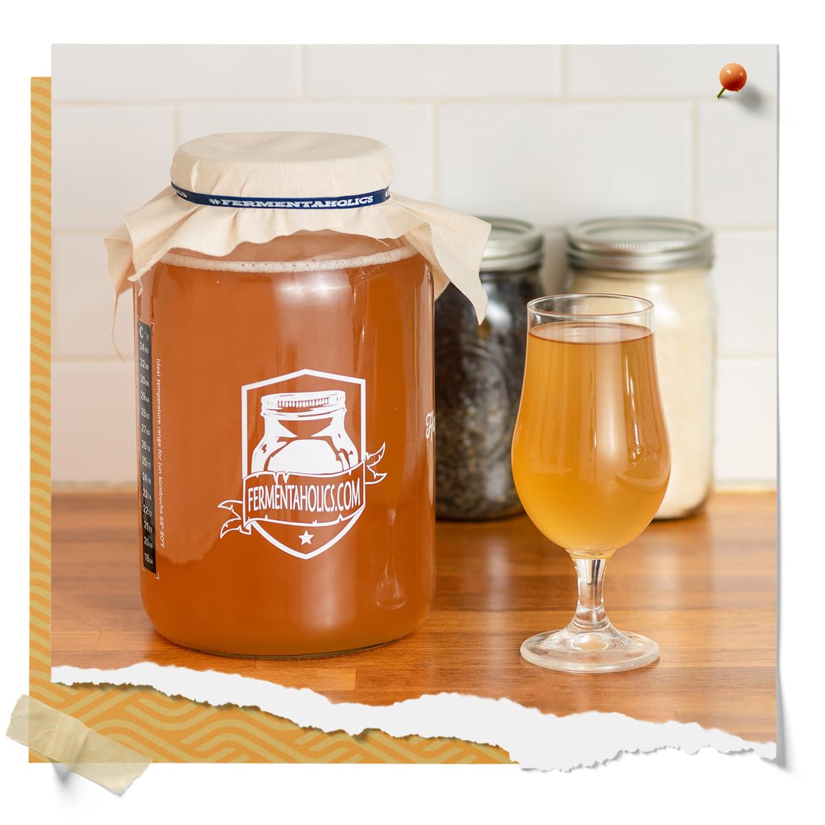 Fermentaholics ORGANIC Kombucha SCOBY With Twelve Ounces of Starter Tea - Live Starter Culture - Makes A One Gallon Batch - 1.5 Cups of Strong Mature Starter Tea - Brew Your Own Kombucha