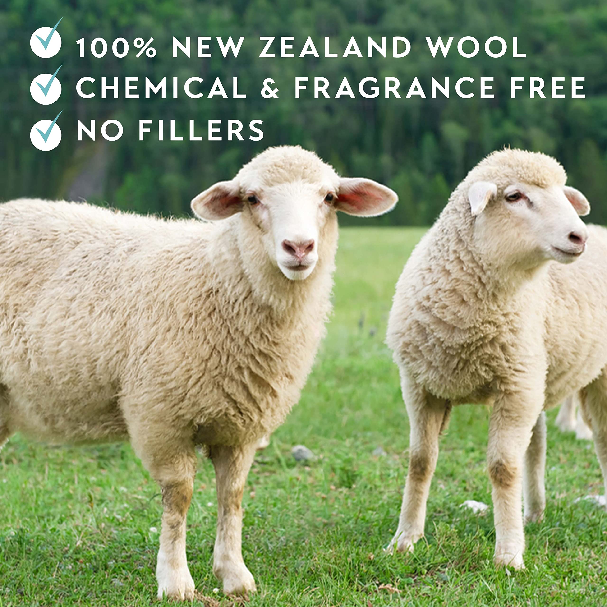 Wool Dryer Balls 6-Pack, XL Size, 100% New Zealand Wool, Reusable and Handmade. Natural Fabric Softener, Reduce Wrinkles and Decrease Drying Time (White)