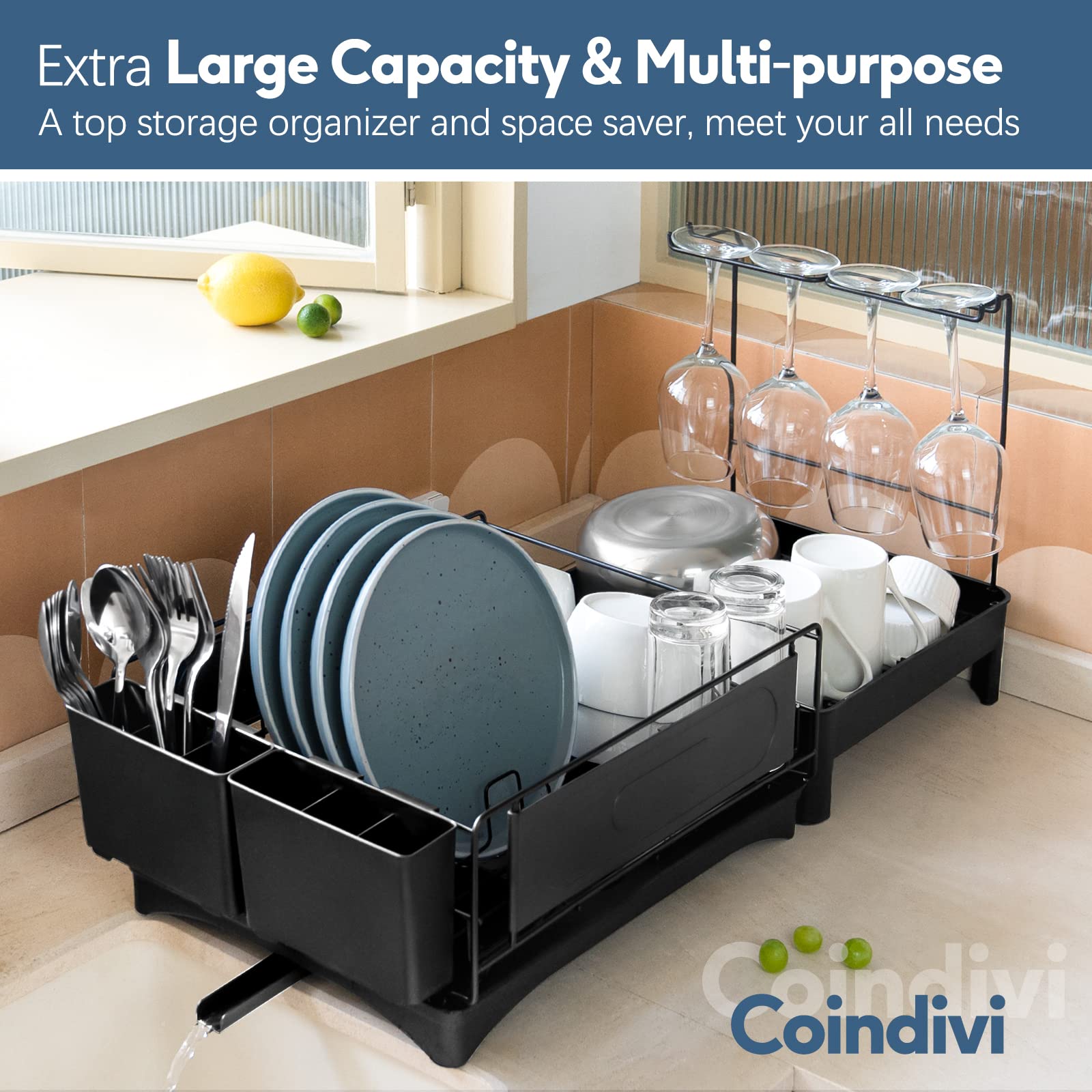 Coindivi Dish Drying Rack, Dish Rack, Dish Racks for Kitchen Counter, Versatile Dish Drainer with Drainage, Dish Rack and Drainboard Set with Utensil Holder, Wine Glass Holder, Black
