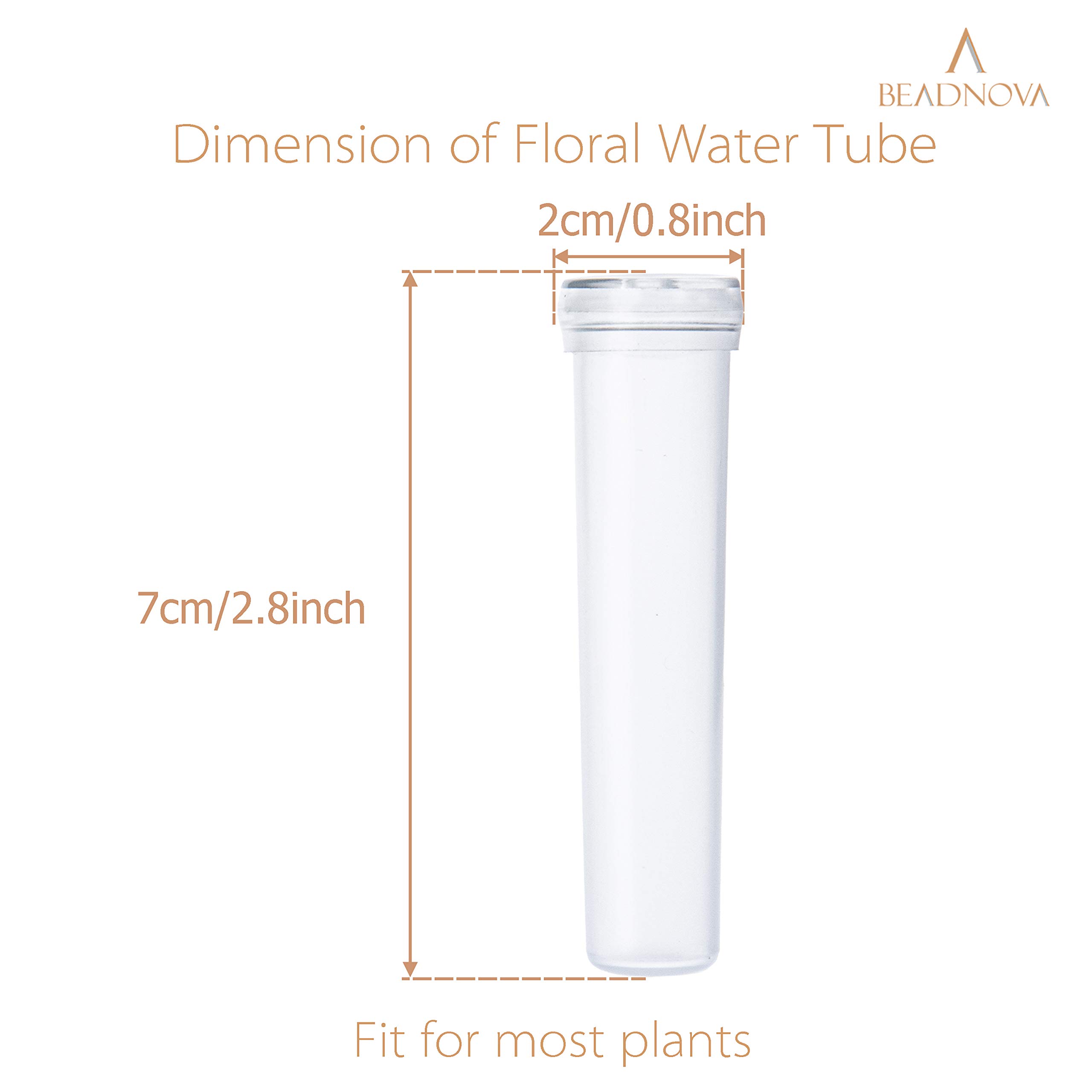 BEADNOVA Flower Water Tubes 2.8 Inch Plastic Water Tubes for Flowers Floral Vials with Caps for Decoration Flower Arrangement (Clear, 60 Pcs)