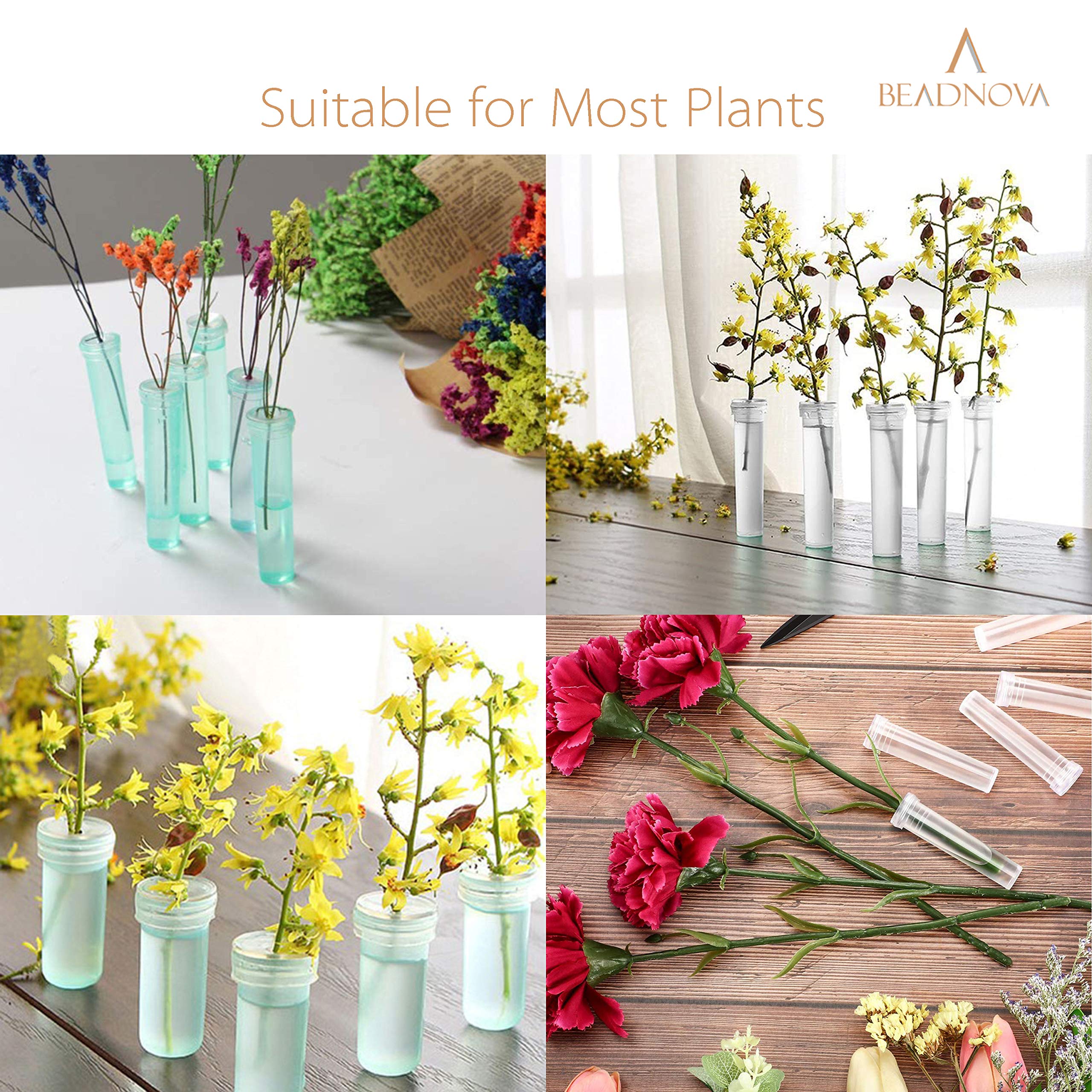 BEADNOVA Flower Water Tubes 2.8 Inch Plastic Water Tubes for Flowers Floral Vials with Caps for Decoration Flower Arrangement (Clear, 60 Pcs)