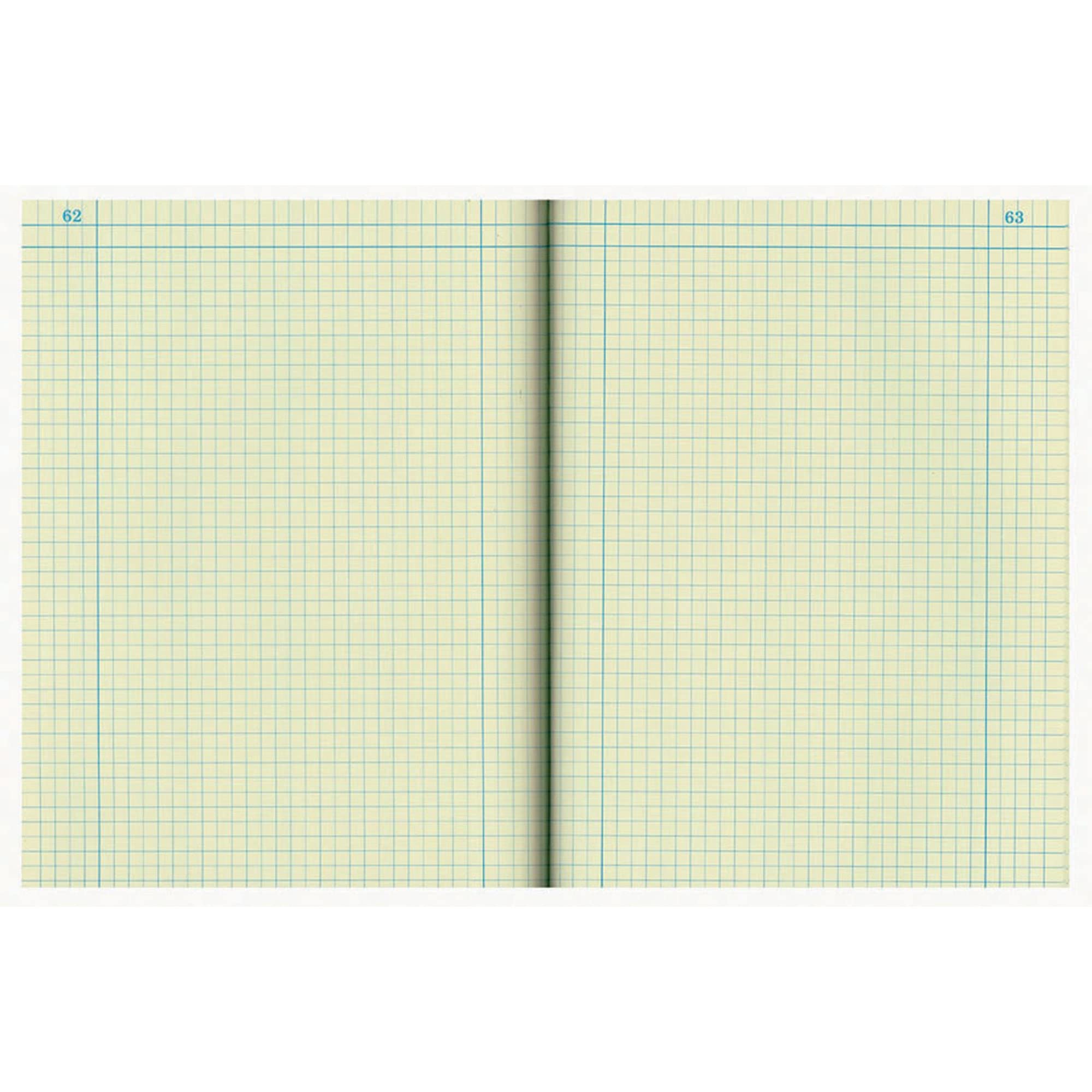 National Brand Computation Notebook, 4 X 4 Quad, Brown, Green Paper, 11.75 x 9.25 Inches, 75 Sheets (43648)