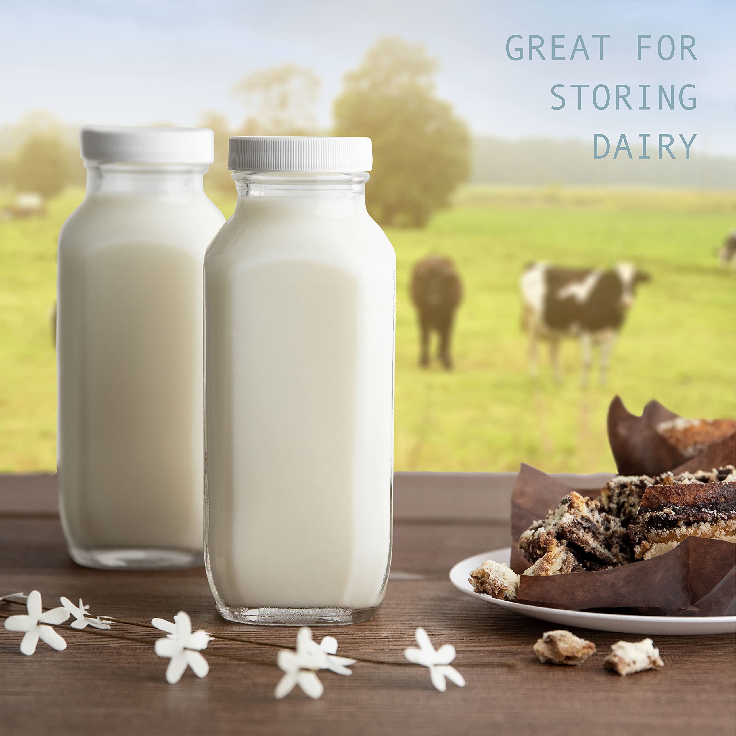 kitchentoolz 16oz Square Glass Milk Bottle with Plastic Airtight Lids - Vintage Reusable Dairy Drinking Jars Containers for Milk, Yogurt, Smoothies, Kefir, Kombucha, and Water- Pack of 2