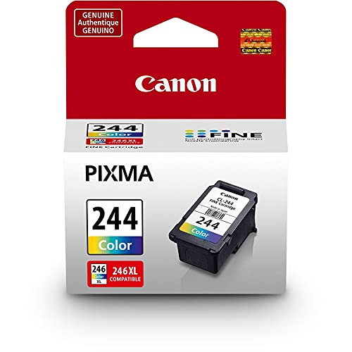 Canon PG-245 Black Ink Cartridge and Canon CL-244 Color Ink Cartridge