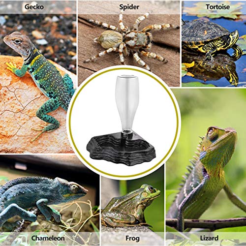 Baluue Reptichip Turtle Feeder Reptile Water Feeder Reptile Water Dispenser Refilling Water Dispenser Reptile Drinking Tool for Tortoise Lizard (Black) Reptile Water Dispenser Reptile Water Bowl