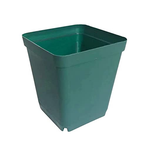 RooTrimmer 100-Pack 3.15 inch Square Plastic Seedling Nursery Pots for Small Succulents or Cacti Flower Pots Sturdy Reusable (Green, 8cm)