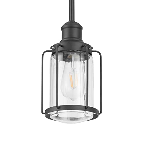 Prominence Home Lincoln Woods 1 Light Matte Black Industrial Pendant Light with Cage and Clear Glass