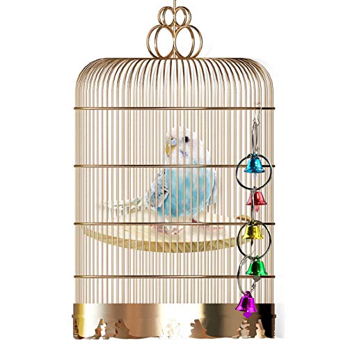 2 Pieces Bird Perches Bird Platform Perch with Pet Toys Bird Cage Accessories Parrot Perch Bird Rest Platform and Training Toy for Parakeet Gerbil Cockatiel Budgie Rat Mouse Chinchilla Hamster