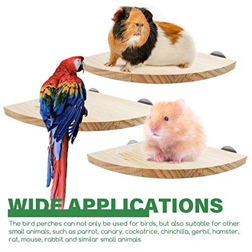 2 Pieces Bird Perches Bird Platform Perch with Pet Toys Bird Cage Accessories Parrot Perch Bird Rest Platform and Training Toy for Parakeet Gerbil Cockatiel Budgie Rat Mouse Chinchilla Hamster