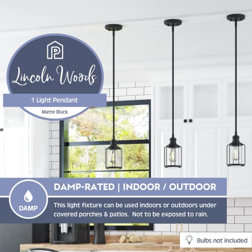 Prominence Home Lincoln Woods 1 Light Matte Black Industrial Pendant Light with Cage and Clear Glass