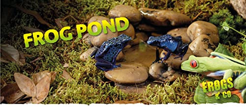 Exo Terra Frog Pond, Amphibian Terrarium Water Source, Small