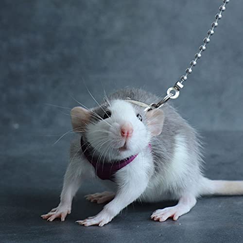 Adjustable Fancy Rat Hamster Harness Rat Guinea Pig Training Walking with Bell Leather Leash Reptile Harness Suitable for Small, Medium,Large Rats or Reptiles (Purple)