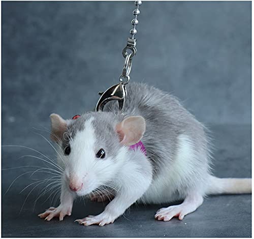 Adjustable Fancy Rat Hamster Harness Rat Guinea Pig Training Walking with Bell Leather Leash Reptile Harness Suitable for Small, Medium,Large Rats or Reptiles (Purple)