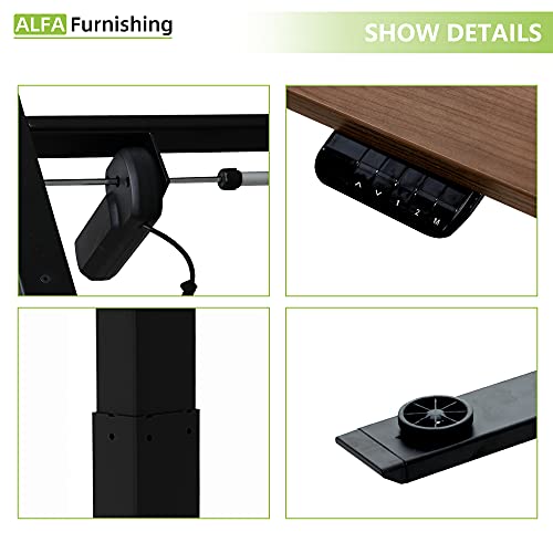 ALFA FURNISHING Height Adjustable Desk, 48β x 30β inches Whole Piece Desk Board, 2 Pre-Set Memory Button Electric Sit Stand Desk Standing Desk for Home Office Workstation