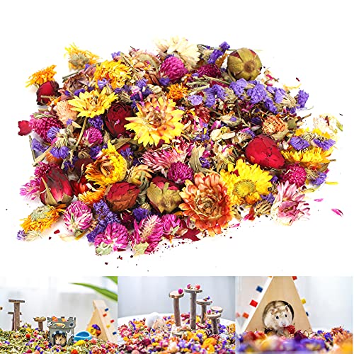 GLOGLOW Small Pet Bedding, Dried Flowers Padding for Squirrels Guinea Pigs Rabbits Chinchillas Hamsters Gerbils(100g) Treats