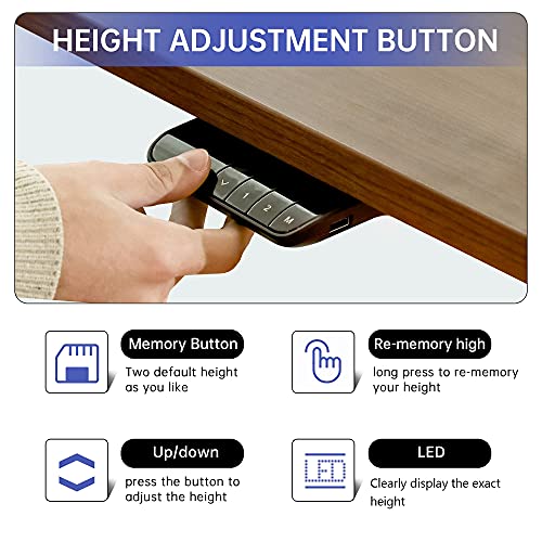 ALFA FURNISHING Height Adjustable Desk, 48β x 30β inches Whole Piece Desk Board, 2 Pre-Set Memory Button Electric Sit Stand Desk Standing Desk for Home Office Workstation