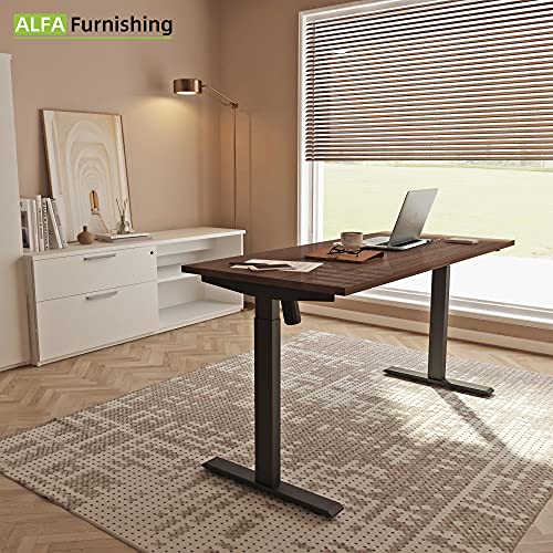 ALFA FURNISHING Height Adjustable Desk, 48β x 30β inches Whole Piece Desk Board, 2 Pre-Set Memory Button Electric Sit Stand Desk Standing Desk for Home Office Workstation