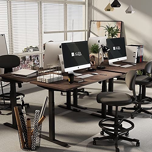 ALFA FURNISHING Height Adjustable Desk, 48β x 30β inches Whole Piece Desk Board, 2 Pre-Set Memory Button Electric Sit Stand Desk Standing Desk for Home Office Workstation