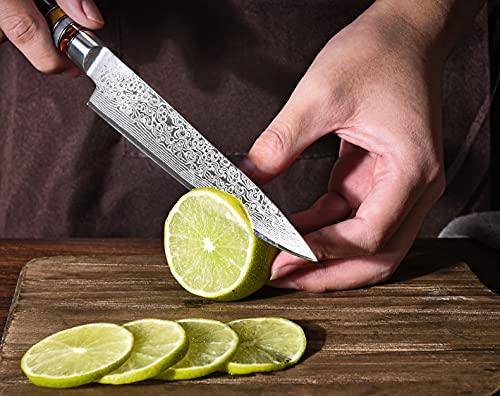 Utility Paring Knife 6 Inch Damascus Chefs Knife Utility Kitchen Knife Japanese VG10 Kitchen Paring Knives 67-Layer High Carbon Stainless Steel Knife Fruit Knife Christmas Gift