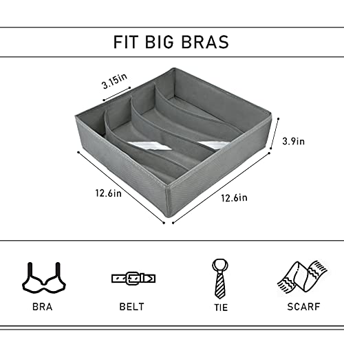 2 Pack Bra Storage Organizers for Dresser Drawers, Fabric Foldable underwear Storage, Washable Lingerie Organizers, Grey¡