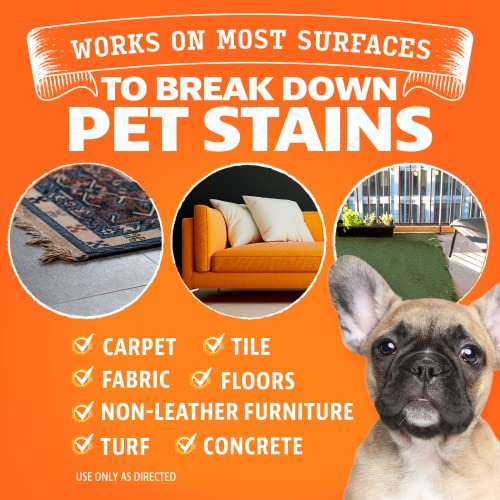 ANGRY ORANGE Pet Carpet Cleaner - 2 Pack - Dog, Ferret, Rabbit & Cat Urine Enzyme Cleaner - Pet Odor Eliminator for Home - Strong Enzymatic Stain Remover for Pee on Rug, Tile, Hardwood Floor