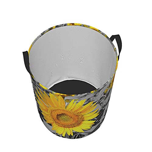 FeHuew Monotone Yellow Sunflowers Gray Field Collapsible Laundry Basket with Handle Waterproof Fabric Hamper Laundry Storage Baskets Organizer Large Bins for Dirty Clothes,toys,Bathroom