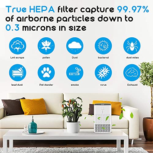 ZHENGXOO Small Air purifier for Bedroom with True HEPA, Portable Air Cleaner Designed for Small Rooms uses 5V 1A Usb Power Interface Model:AM-120 (White)…