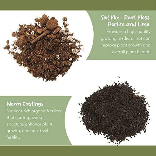 Citrus Tree Potting Soil Mix (8 Quarts), Special Blend for Indoor Oranges, Lemons, Limes and More