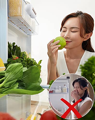 Reusable Refrigerator Deodorizer - Odor Eliminator Remover - Fridge Freshener - For Fridge, Freezer, Shoe Closet, Wardrobe, Car, Pet - Reusable and No Consumables - by M.A.D. for Everything