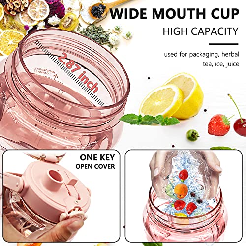 Slirceods half gallon filtered water bottle(Mother's Day Gift),64OZ Pink Water Bottle with Straw& Time Marker -Increase ph-BPA Free(1pack Filter)