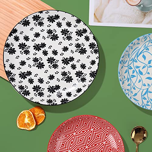 Porcelain Dinner Plates Set of 6, Vivimee 10.2 Inch Large Dinner Dishes Set, Ceramic Salad Plates Set, Colorful Serving Plates for Restaurant, Kitchen and Family Party Use, Dishwasher & Microwave Safe