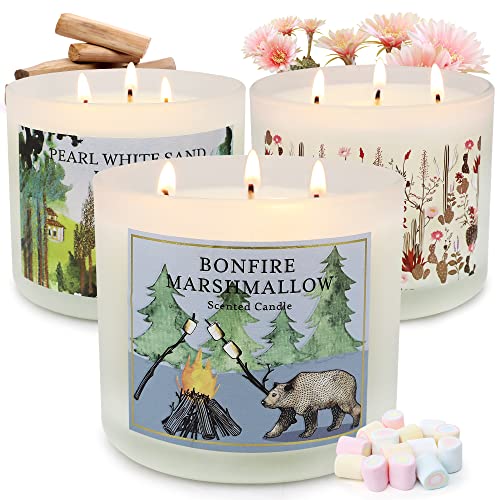 3 Pack Candles Gifts for Women, 13.4Oz Large 3 Wick Scented Candle, Candles for Home Scented, Aromatherapy Gift Set for Birthday, Natural Soy Wax with Essential Oils for Stress Relief