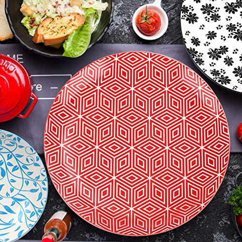 Porcelain Dinner Plates Set of 6, Vivimee 10.2 Inch Large Dinner Dishes Set, Ceramic Salad Plates Set, Colorful Serving Plates for Restaurant, Kitchen and Family Party Use, Dishwasher & Microwave Safe