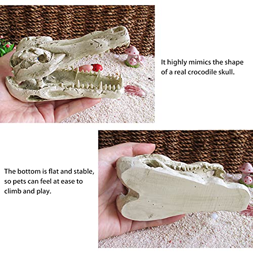 Tfwadmx Bearded Dragon Tank Accessories Reptiles Crocodile Skull Decorations Resin Human Skulls Hideouts Cave Habitat Decor for Chameleon,Snake,Spider,Gecko and Fish