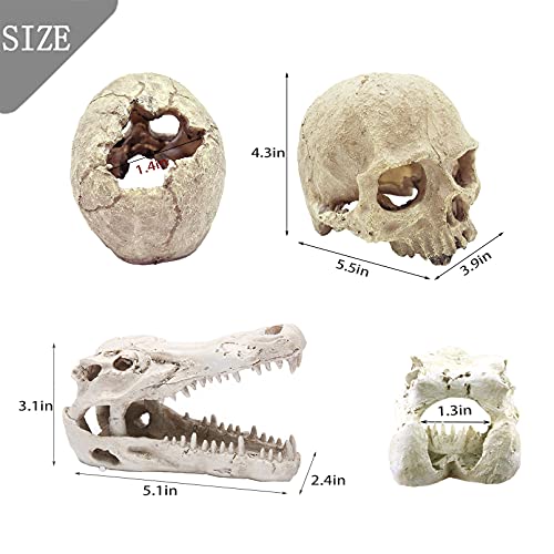 Tfwadmx Bearded Dragon Tank Accessories Reptiles Crocodile Skull Decorations Resin Human Skulls Hideouts Cave Habitat Decor for Chameleon,Snake,Spider,Gecko and Fish