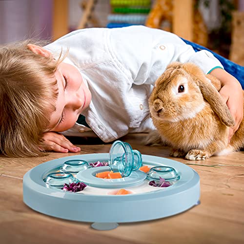 Antidious Interactive Pet Treat Game Rabbit Toys,Ferrets Toys, Slow Feeder Function Benefit for Digestion, Keep pet's Mind Active and Alert,Blue