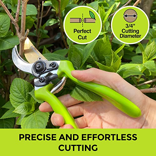 Mueller Heavy Duty Garden Shears, Hand Pruner, Bypass Shears, Durable Hardened Titanium Blades, 1.2" Cutting Diameter, Blade Lock, Ergonomic Grip