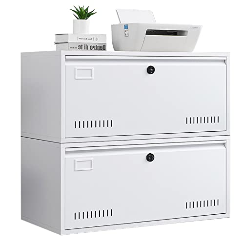 Petonline Lateral File Cabinet 2 Drawer Metal Lateral Filing Cabinet with Smart Lock, Wide Filing Organization Storage Cabinets, Home Office Furniture for Letter/Legal/F4/A4 Size Files
