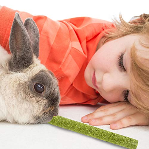 NC Timothy Hay Sticks for Rabbits Guinea Pig Hamsters Chinchilla Bunny Chew Toys for Teeth Treats Accessories