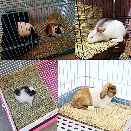 Tfwadmx Rabbit Grass Mats,16.5''x11''Large Natural Woven Seagrass Mat Bunny Bed Chew Mat Sleep for Chinchillas Guinea Pigs Ferret Hamster Squirrel and Small Animals -6 Pcs