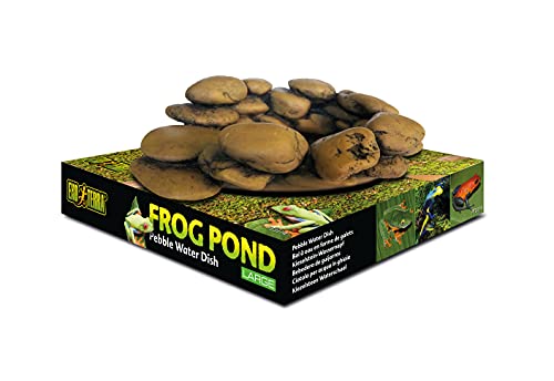 Exo Terra Frog Pond, Amphibian Terrarium Water Source, Large