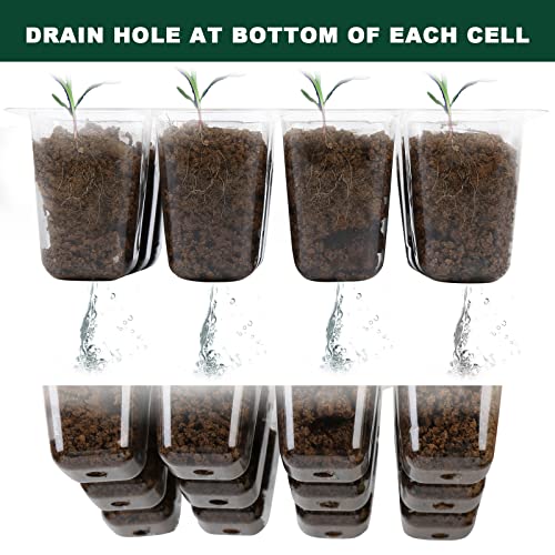 JERIA 12 Packs 144 Cells Seedling Starter Trays,Seed Starter Tray Seed Starter Kit with Humidity Adjustable Dome,Plant Germination Trays and Plant Starter Kit for Seeds Growing Starting (Black)