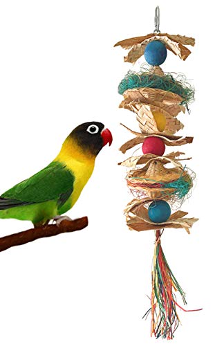 Fetch-It Pets 2 Pack Bird/Parrot Chewriffic & Hat Hat Hooray Foraging Toys Suitable for Small Parakeets, Cockatiel, Conures, Finches, Budgie, Macaws, Parrots, Love Birds