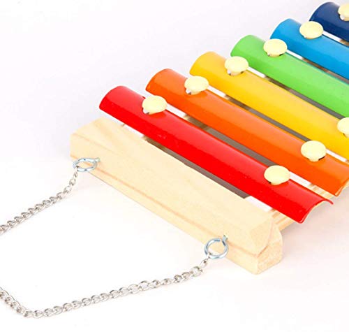 DUJIAOSHOU Wooden Bird Toys,Toys Educational Training Creative Block Discolored Intelligence Toys for Parrot Parakeet (B Toys)